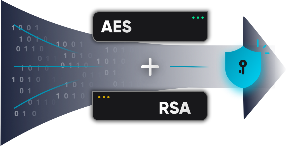 BitTorrent File System